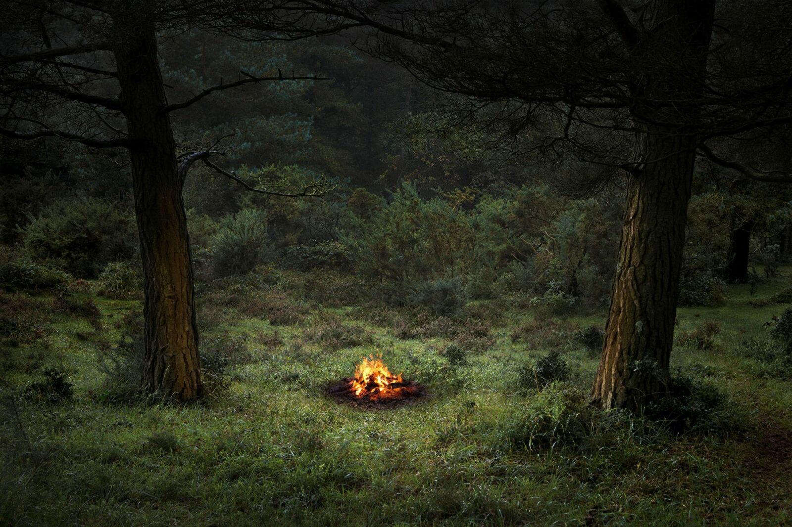 Ellie Davies - A. Galerie