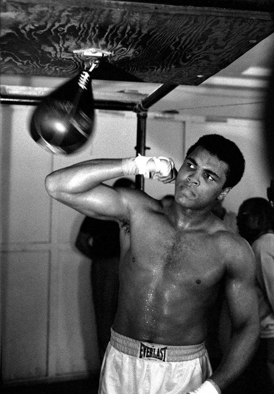 Al Satterwhite - A. Galerie