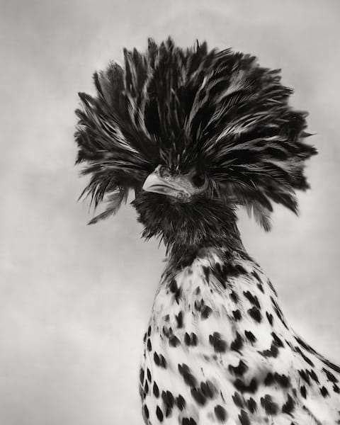 Beth Moon - A. Galerie