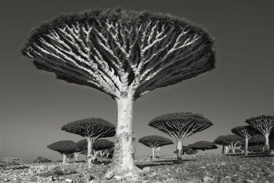 Beth Moon - A. Galerie