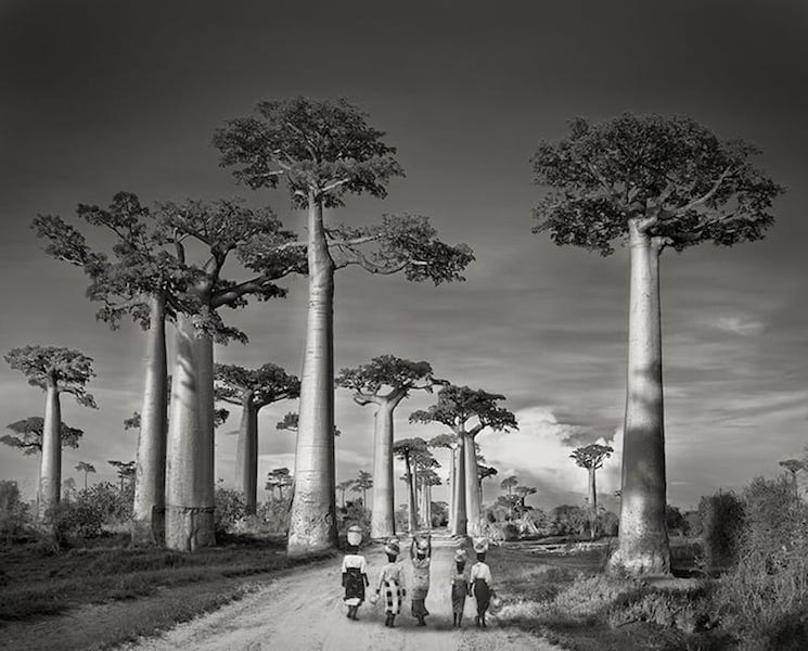 Beth Moon - A. Galerie
