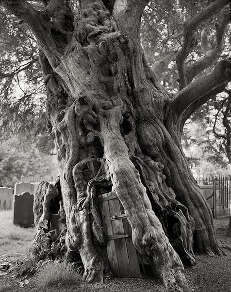Beth Moon - A. Galerie