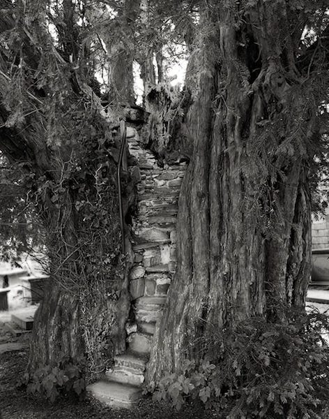 Beth Moon - A. Galerie