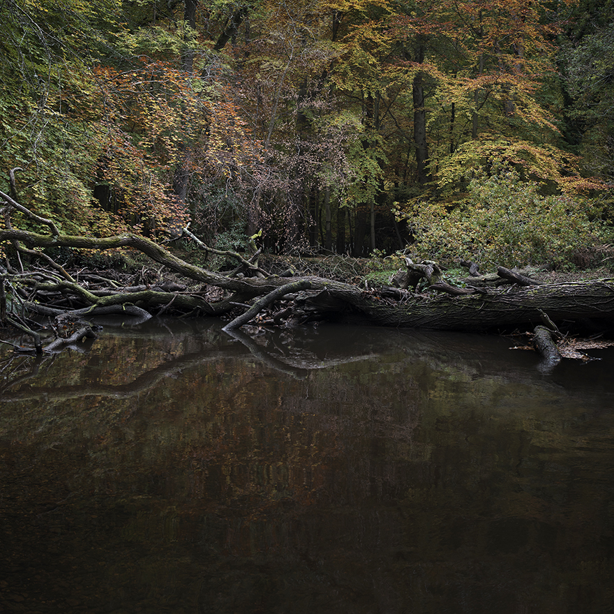 Ellie Davies - A. Galerie